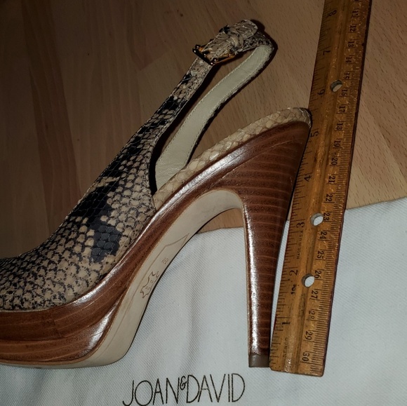 Joan & David | Shoes | Joan David Snake Shoes | Poshmark